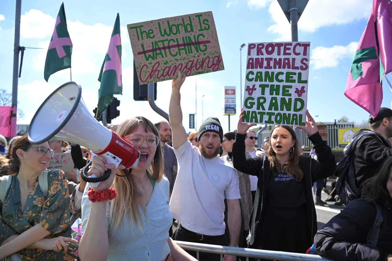 Just Stop Oil statement on Animal Rising Grand National disruption ...